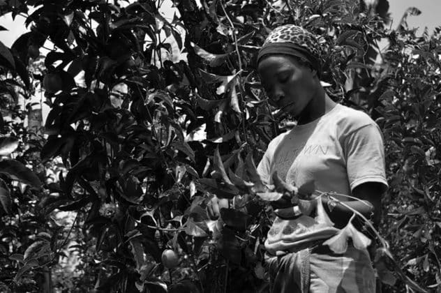 Agribusiness In Tanzania Vision 2025 Opportunities And More